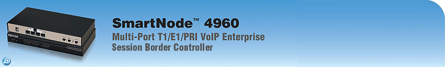 VoIP Session Border Controller (SBC) & IAD | SmartNode 4960 PRI eSBC